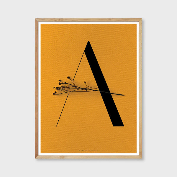 Flora - Letter A art print - The Alphabet Store – The alphabet store